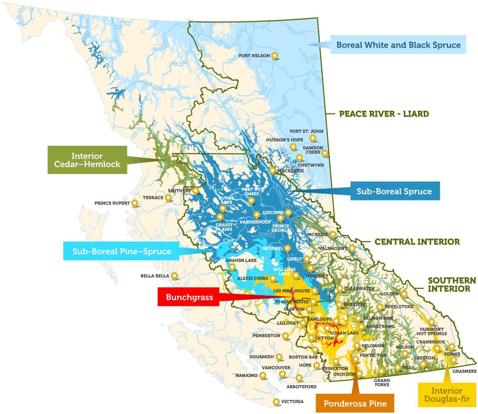 British Columbia Forage U Pick British Columbia Forage U Pick